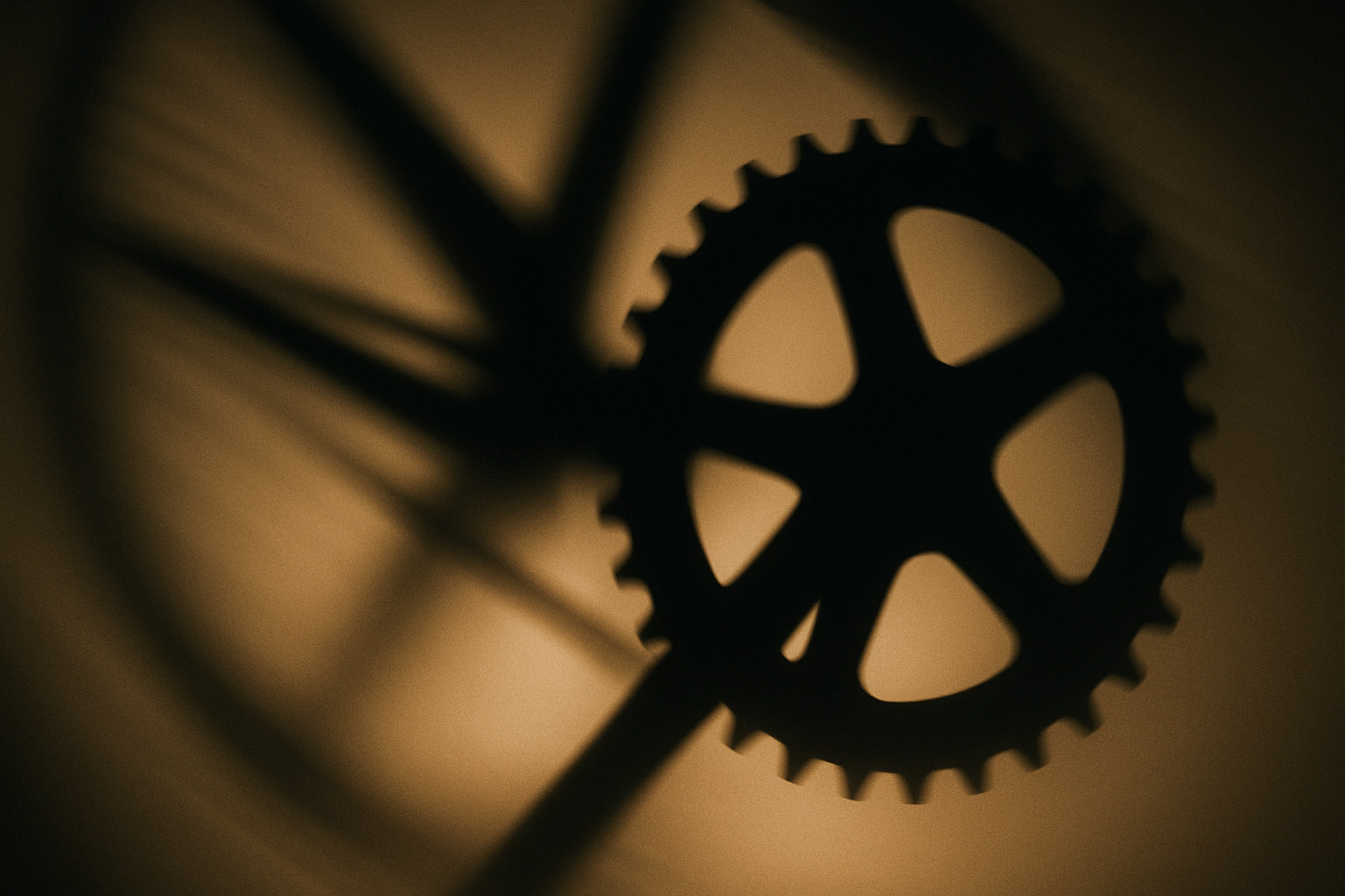 Track Chain Rings – Dont Stop Pedalling